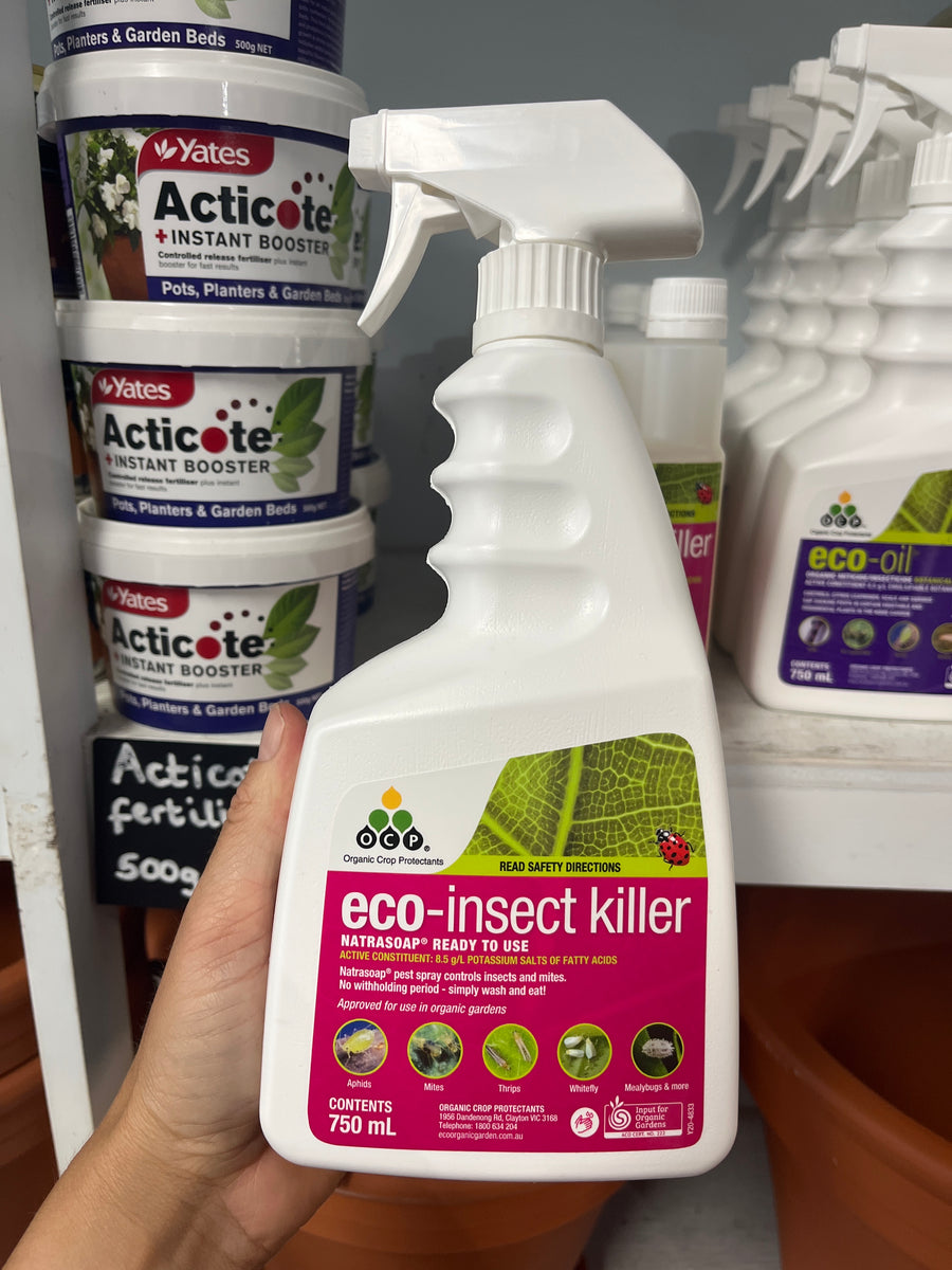OCP Eco Insect Killer RTU 750ml – Plant Culture