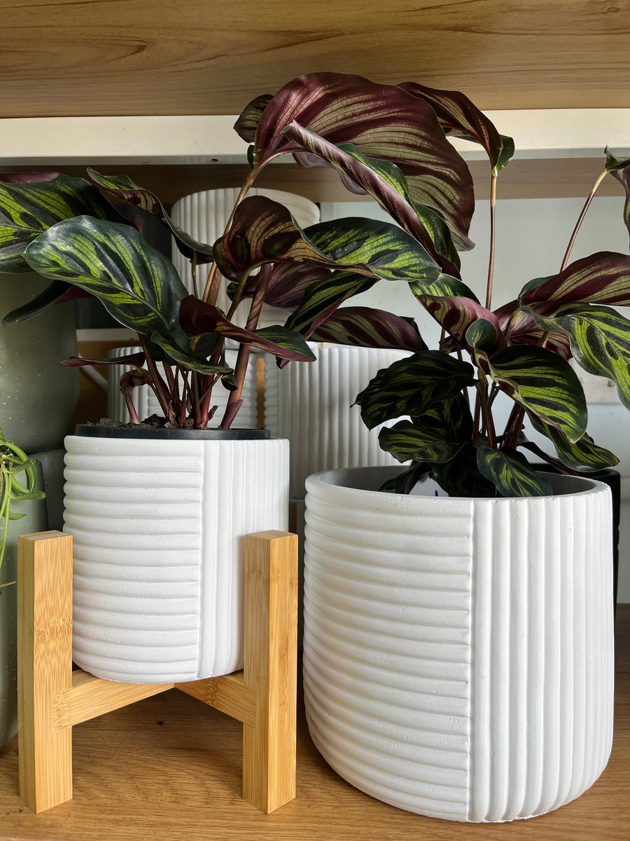 Henley Planter Pot – Plant Culture