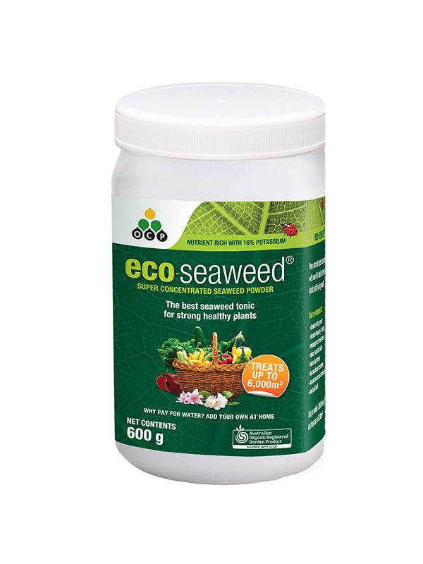 OCP Eco Seaweed – Plant Culture